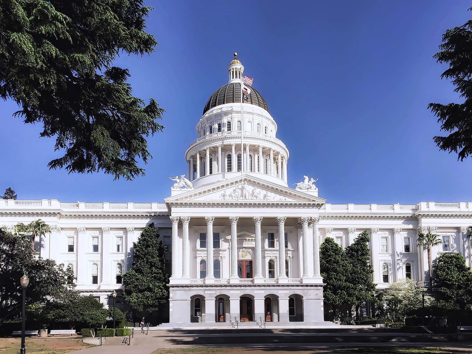 Academic Professionals of California